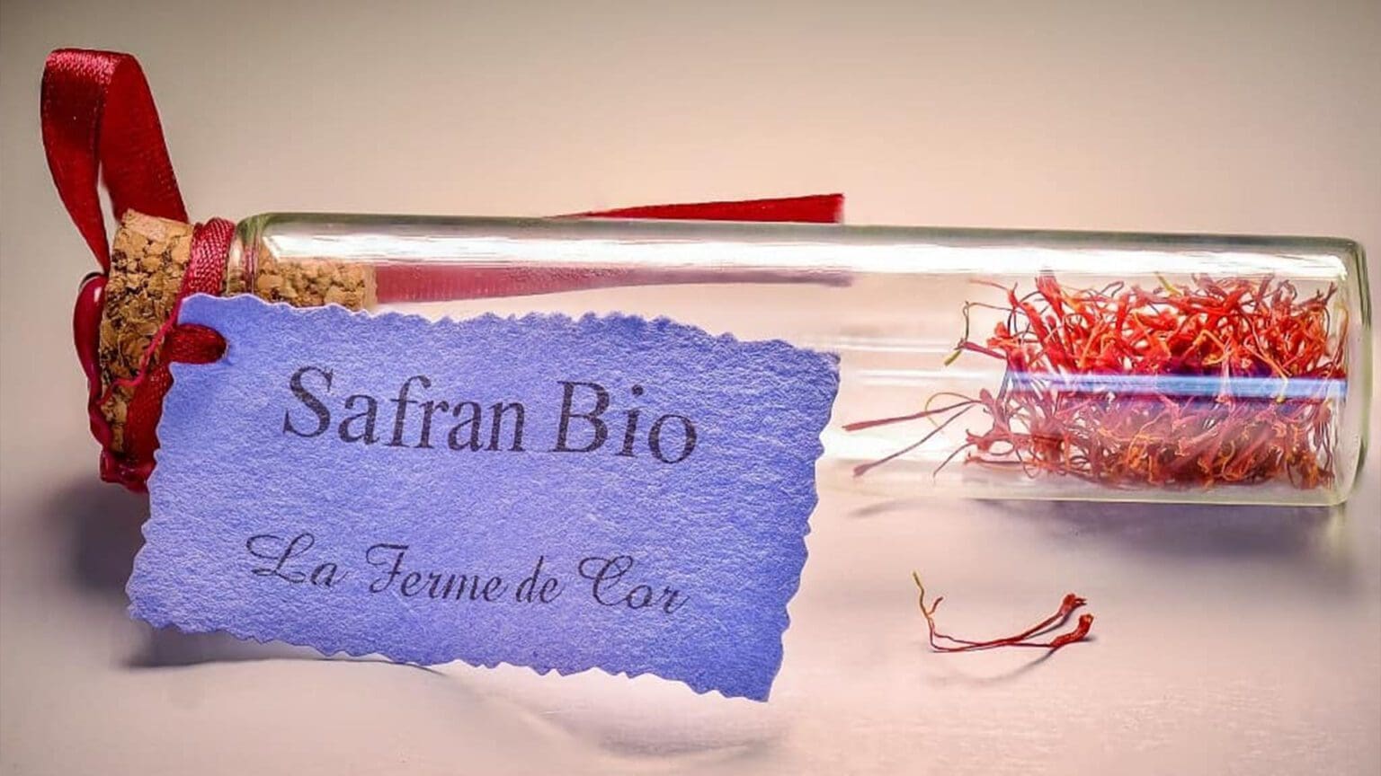 Ferme de Cor - Camping Dordogne Les CINQ Cheaux | Périgord Noir